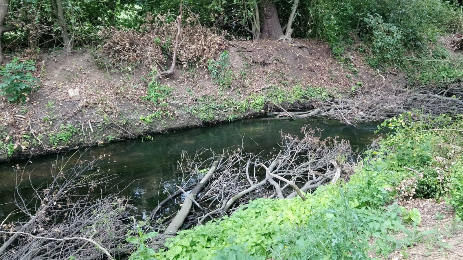 Modular River Survey