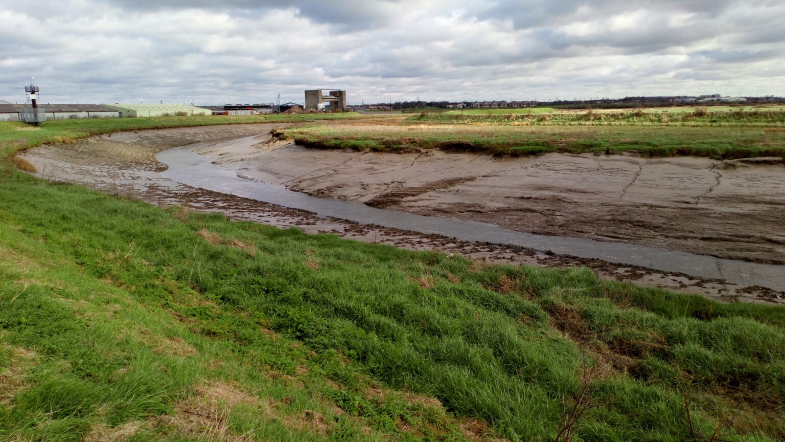 Modular River Survey