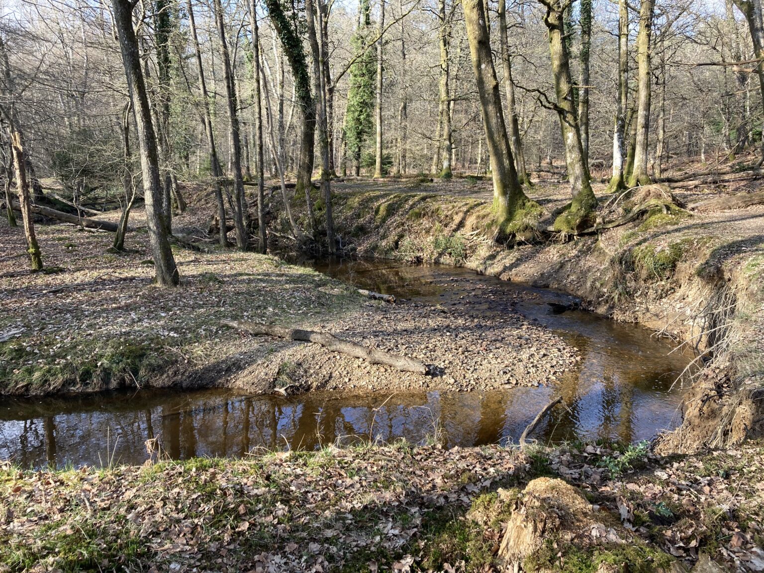 MoRPh Rivers – Modular River Survey