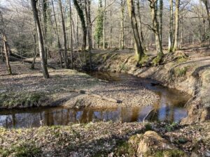 MoRPh Rivers – Modular River Survey