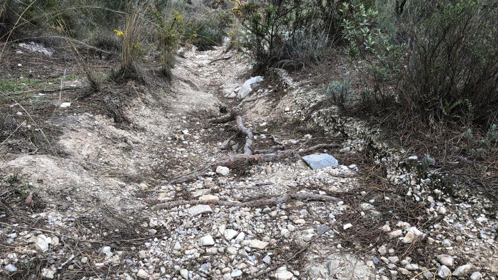 MoRPh for Temporary Rivers & Streams – Modular River Survey