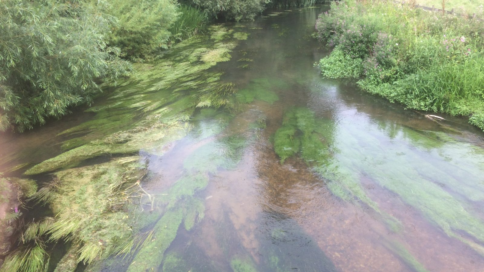 Modular River Survey